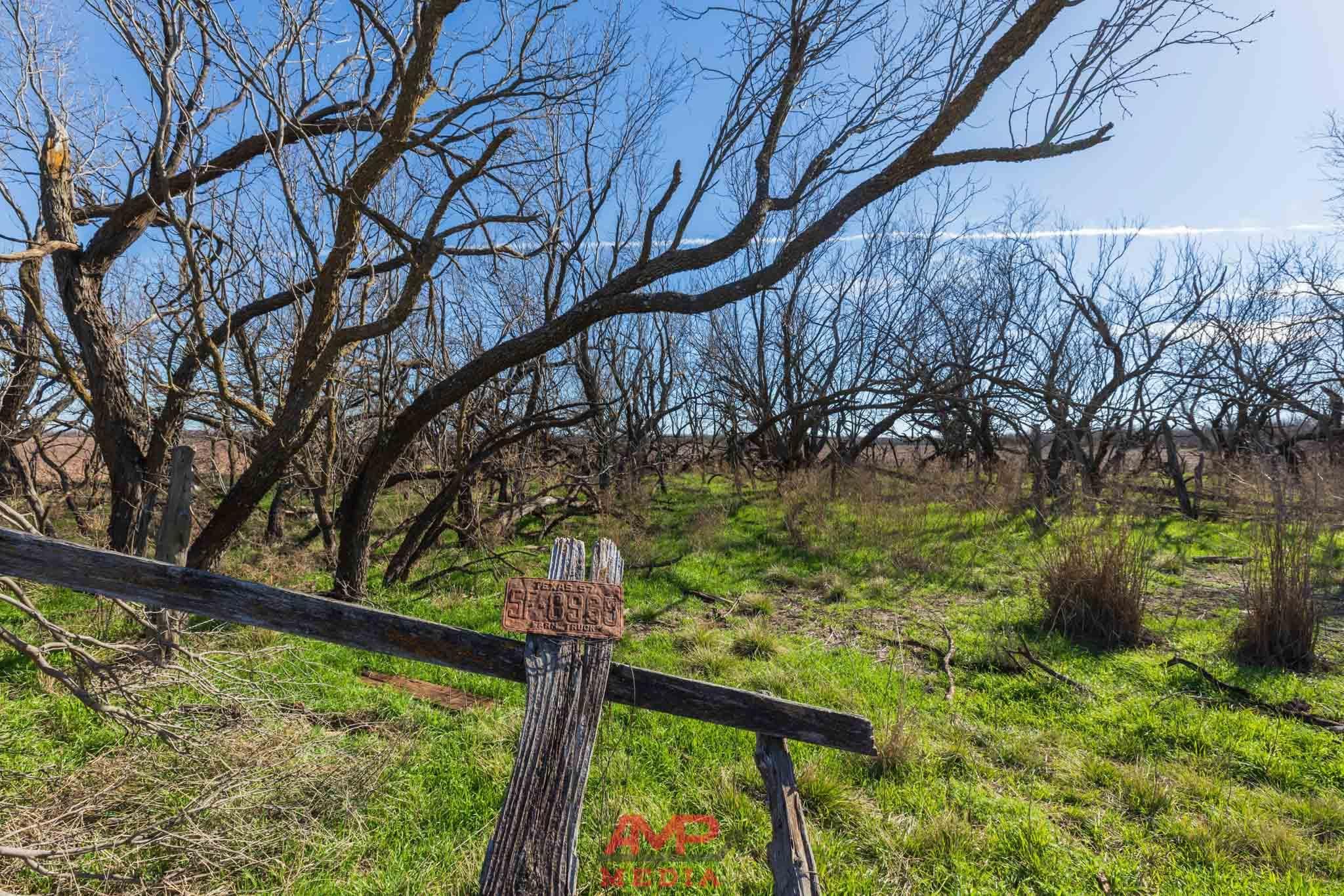 116 Co Rd, Avoca, TX 79503 | LandWatch