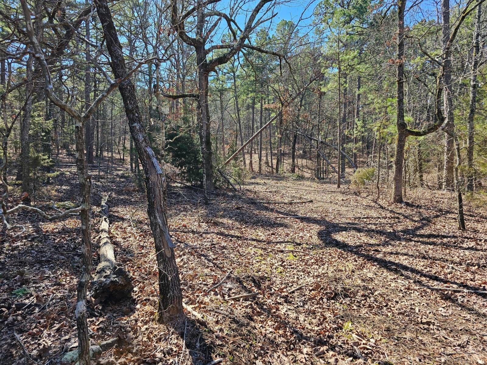 South Side TBD US 1, Talihina, OK 74571 | MLS: 11196150 | LandWatch