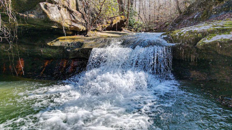 3379 County Road 80, Addison, AL 35540 | LandWatch