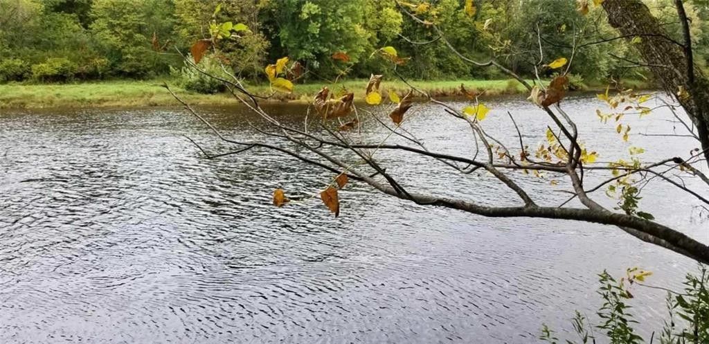 Jump River, Taylor County, WI Undeveloped Land, Lakefront Property ...