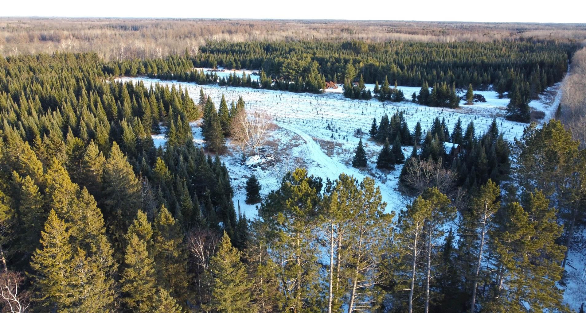 n5750 County Highway D, Brantwood, WI 54513 | LandWatch