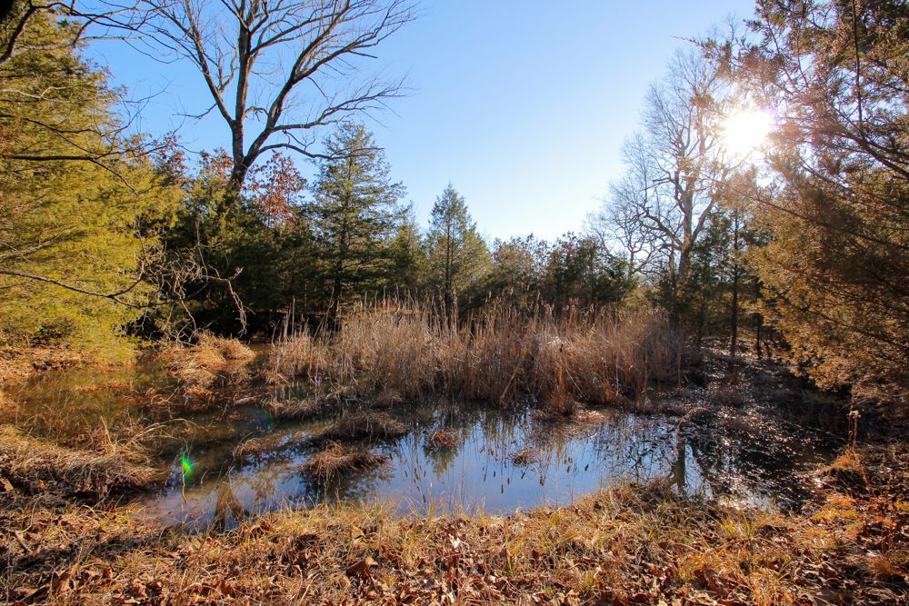 000 Dubuque Road, Omaha, AR 72662 | MLS: Boone 45 | LandWatch