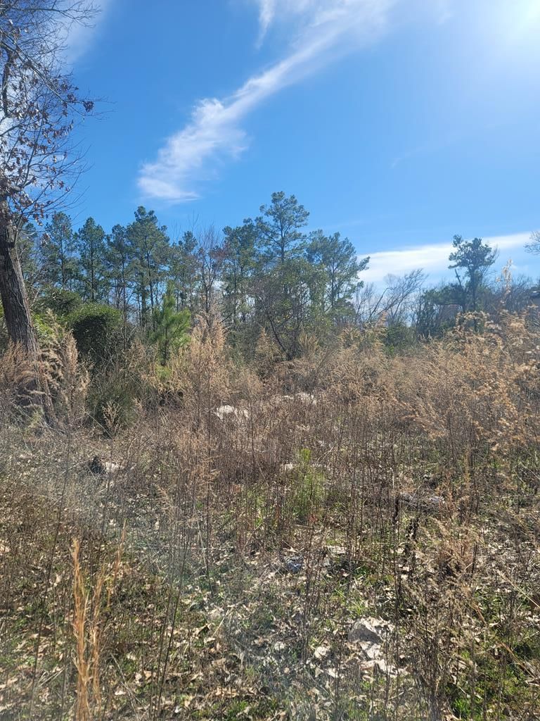 2784 County Road 100, Elkhart, TX 75839 | MLS: 96778 | LandWatch