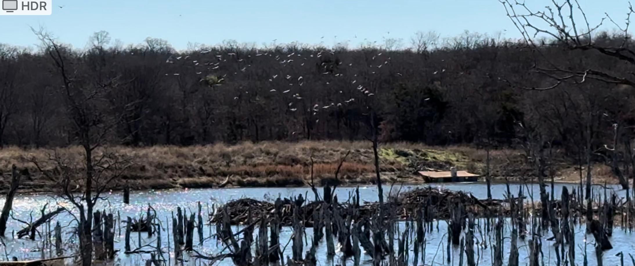 TBD, Mingus, TX 76463 | LandWatch