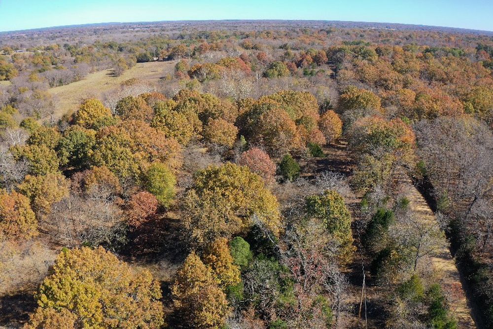 Cottonwood Rd, Lane, OK 74555 | LandWatch