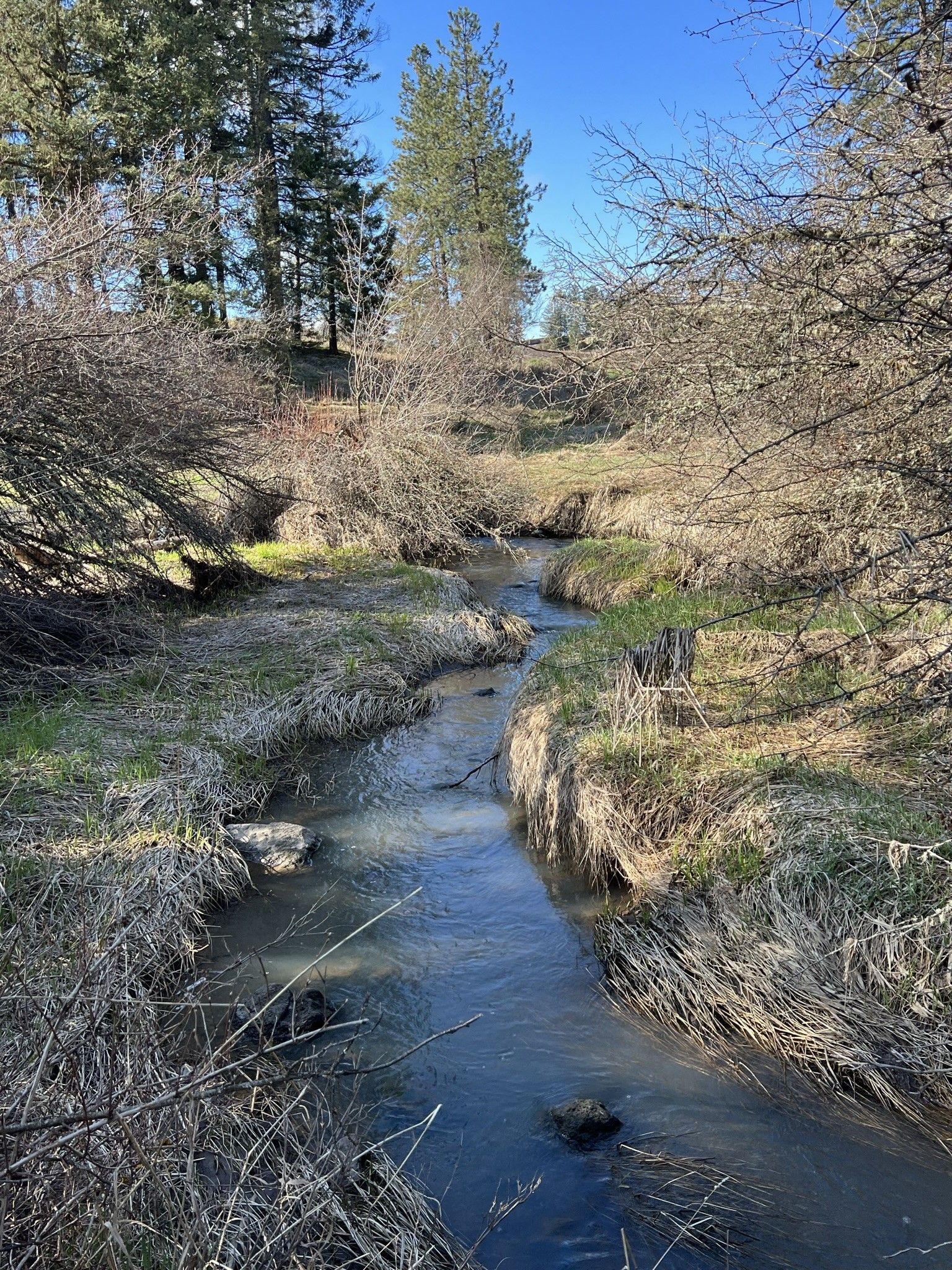 Teacup Lane, Cavendish, ID 83541 | LandWatch