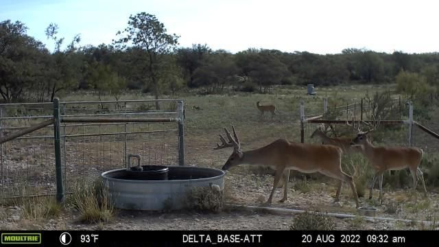 235 acres in Melvin, TX, 76858 | LandWatch