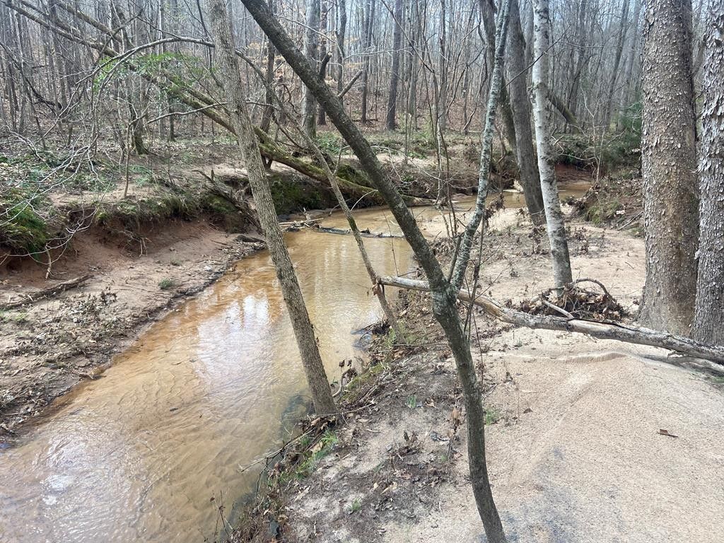 Shiloh, Harris County, GA Undeveloped Land for sale Property ID ...