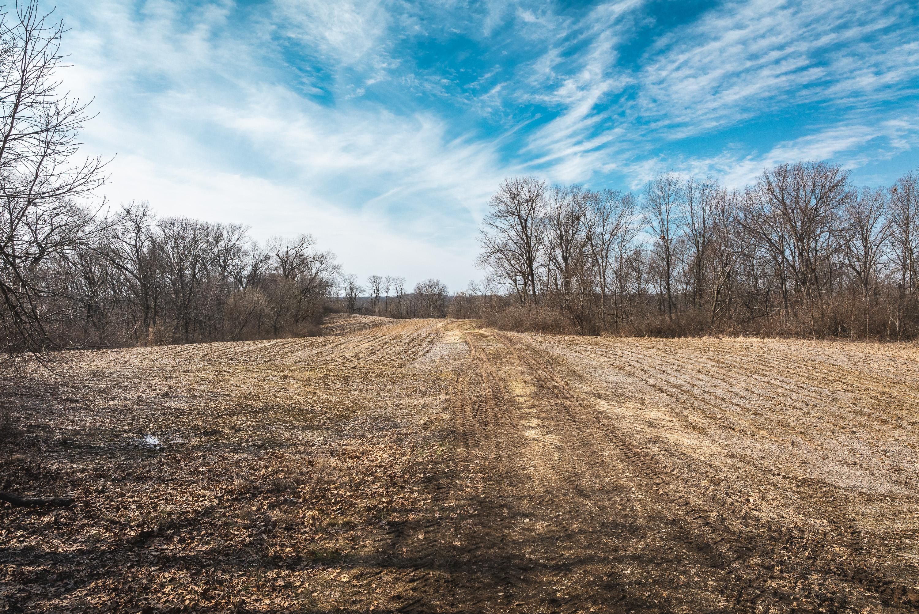 Beaver Lake Rd, Fieldon, IL 62031 | MLS: 24009307 | LandWatch
