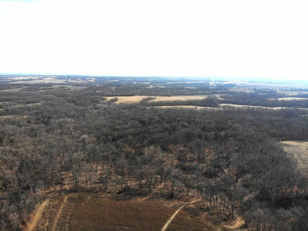56.67 acres in Baylis, IL, 62314 | LandWatch