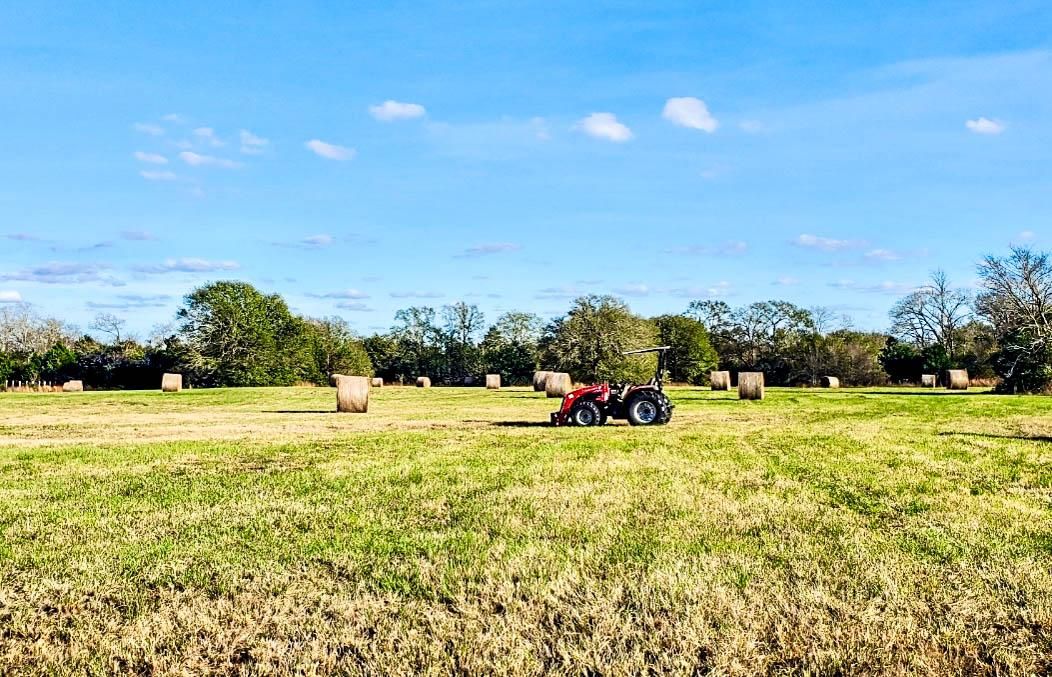 North Zulch, Madison County, TX Farms and Ranches, Horse Property ...
