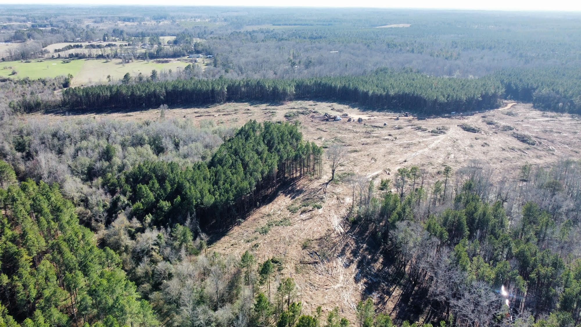 81 Acres, Newton County, MS, Decatur, MS 39327 | LandWatch