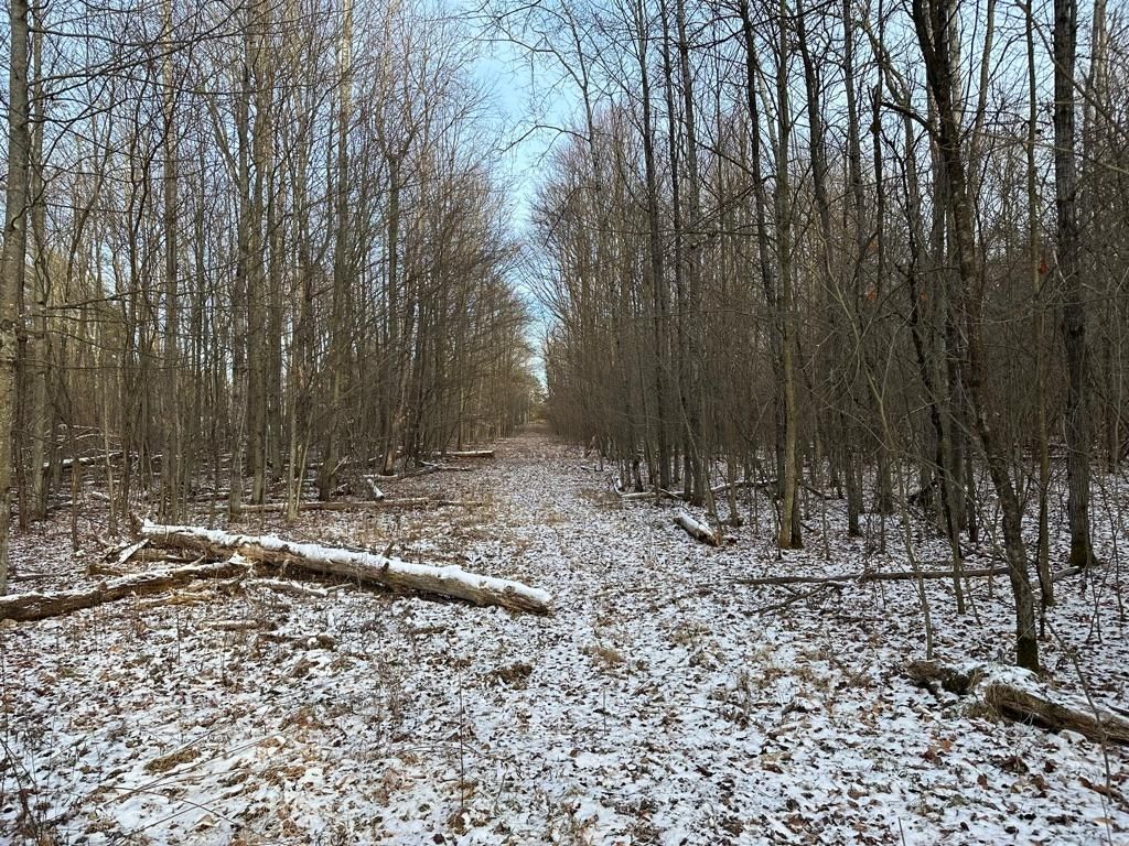Loleta Road, Sigel, PA 15860 | MLS: 19604170 | LandWatch