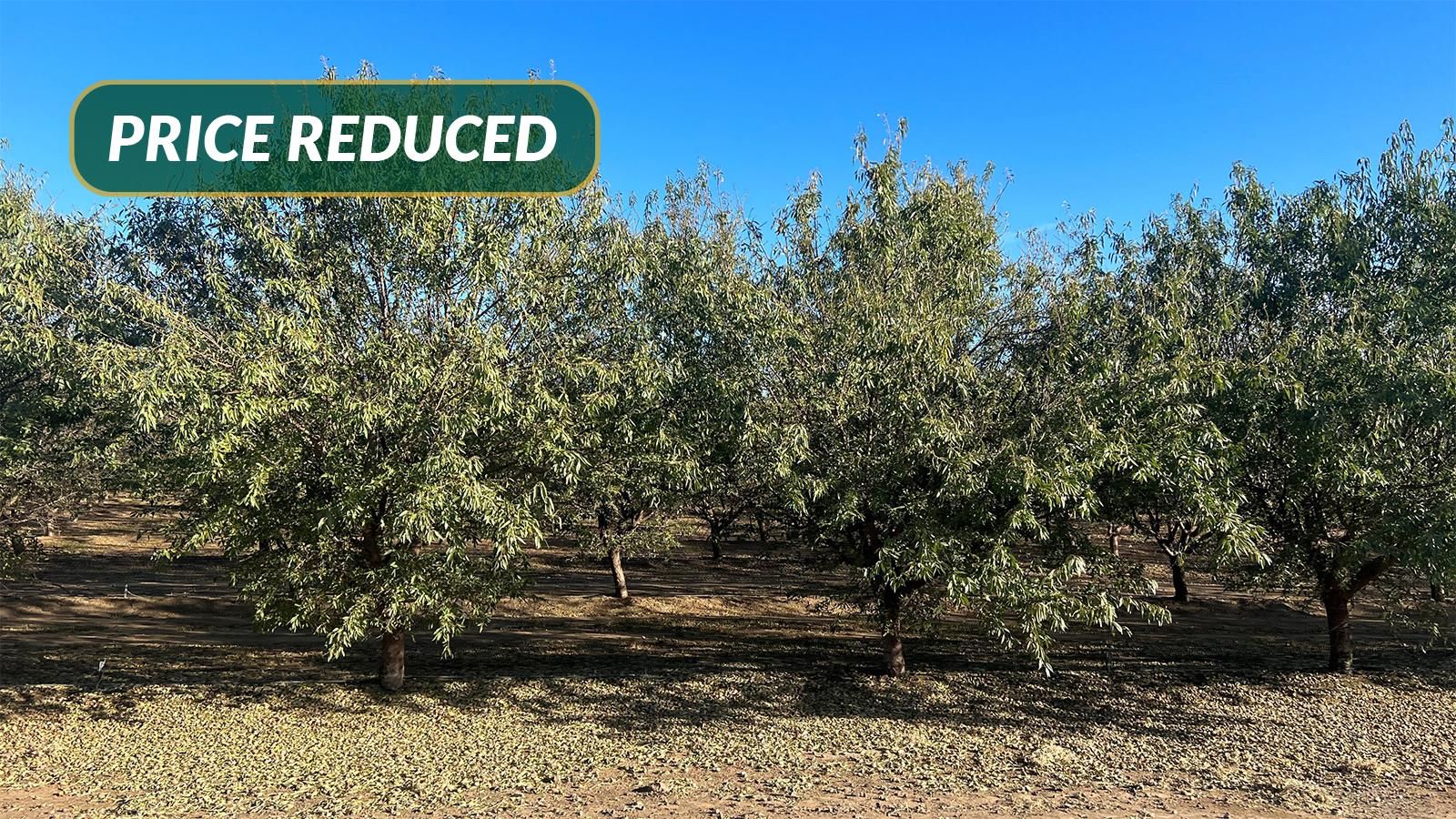 Madera, Madera County, CA Farms and Ranches for sale Property ID ...