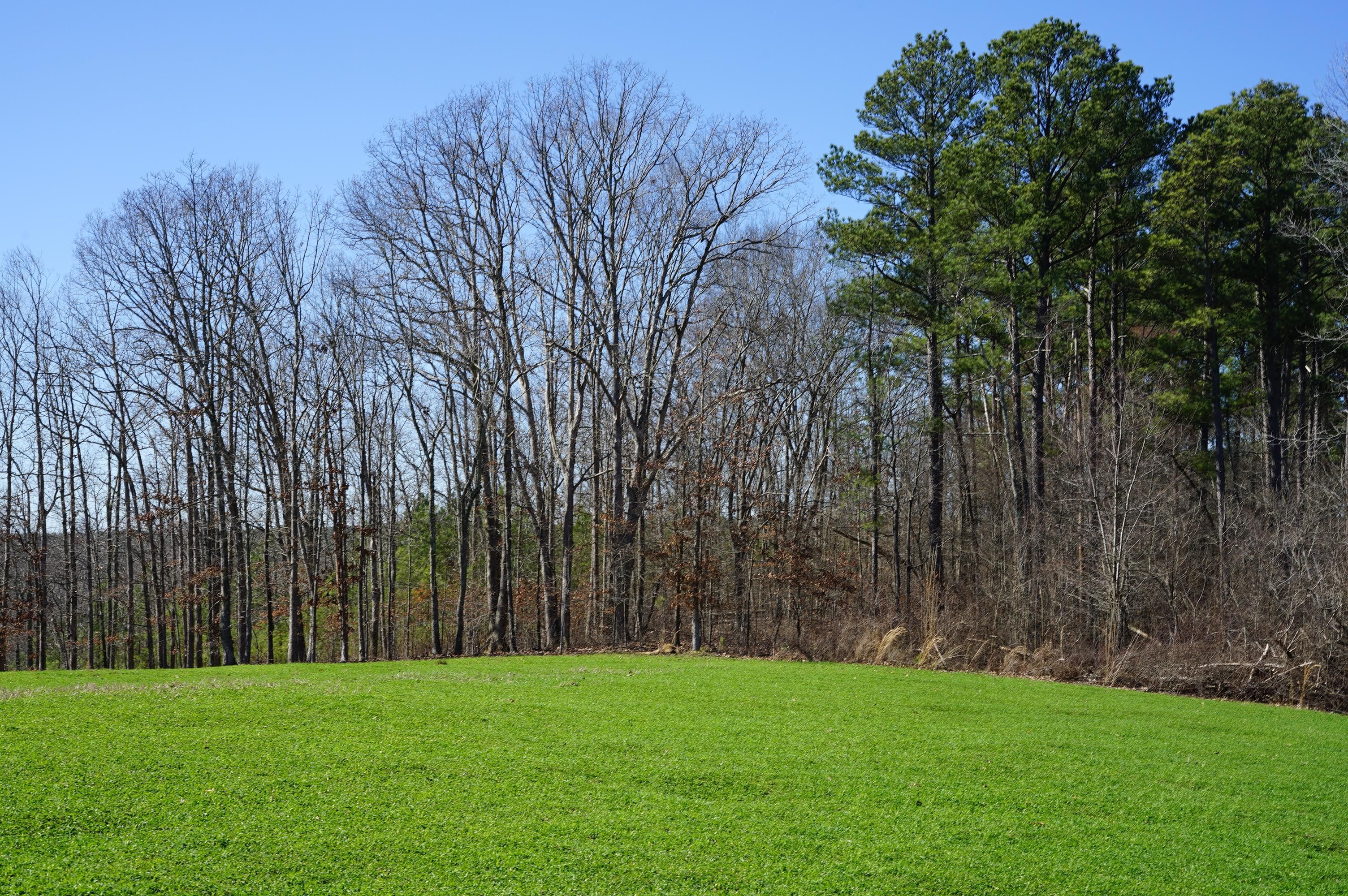 Pine Grove Road, Big Sandy, TN 38221 | MLS: 1387547 | LandWatch