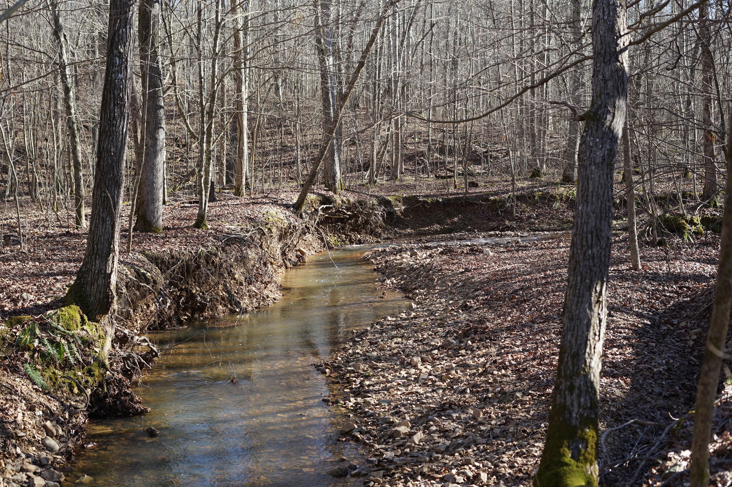 Danville Rd, Big Sandy, TN 38221 | MLS: 1387545 | LandWatch