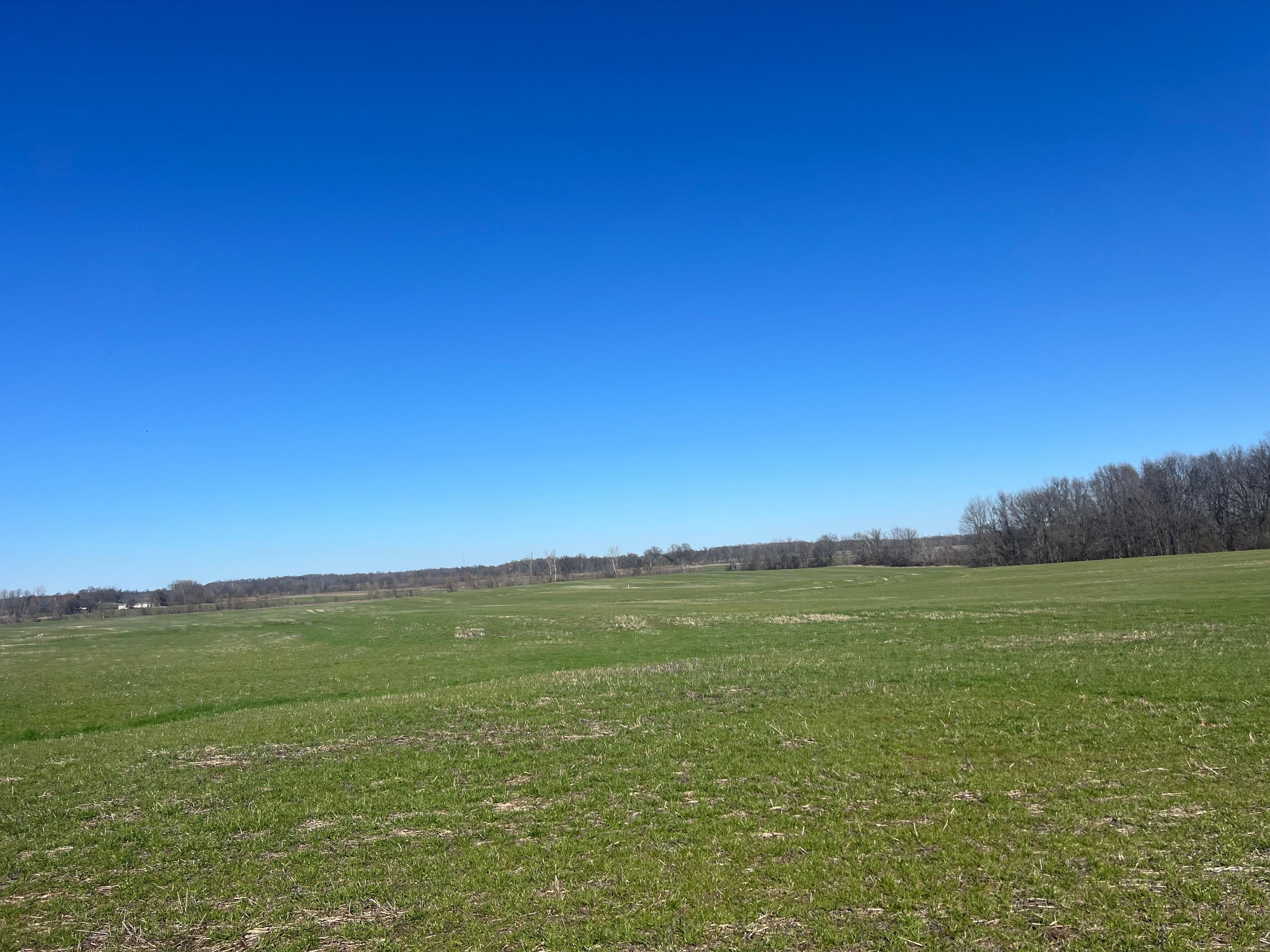 513 acres in Durhamville, TN, 38063 | LandWatch
