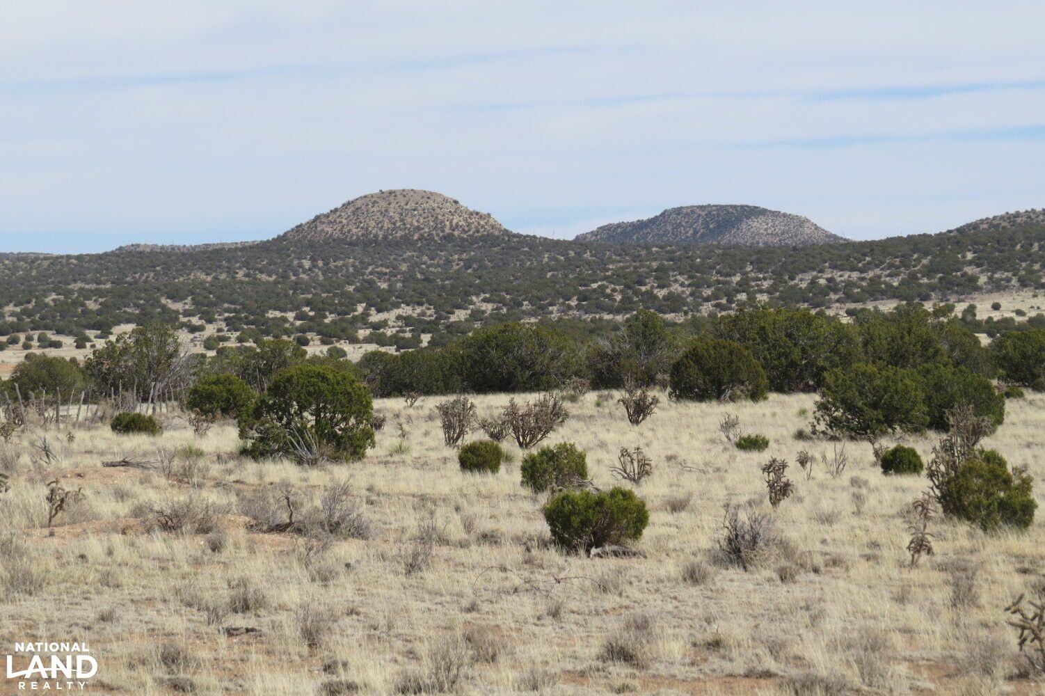 Off Bronco Rd East off Hwy 55, Mountainair, NM 87036 | LandWatch