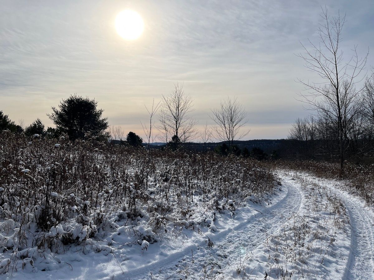 WP01 Langford Creek Road, Van Etten, NY 14889 | MLS: 11251983 | LandWatch