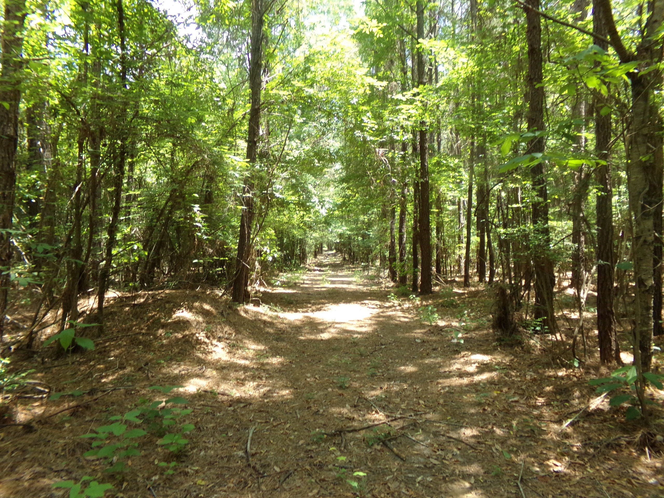 WD Roberts Road Lot# Wp002, Tullos, LA 71479 | LandWatch
