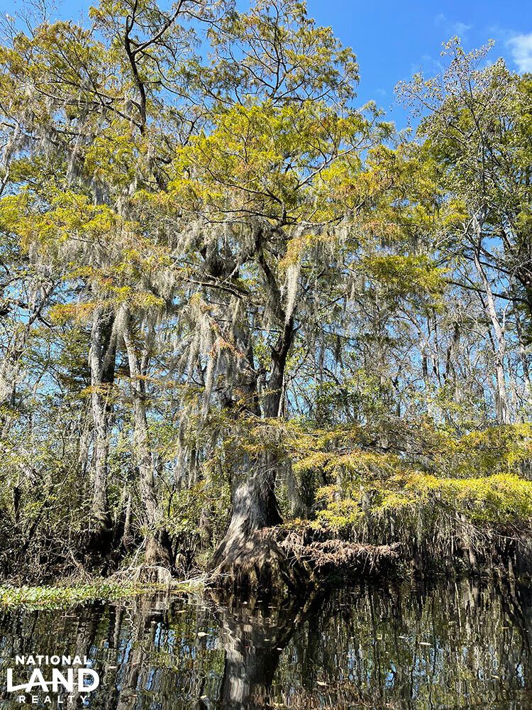 Across from 8013 Bay Rd., Gresham, SC 29546 | LandWatch