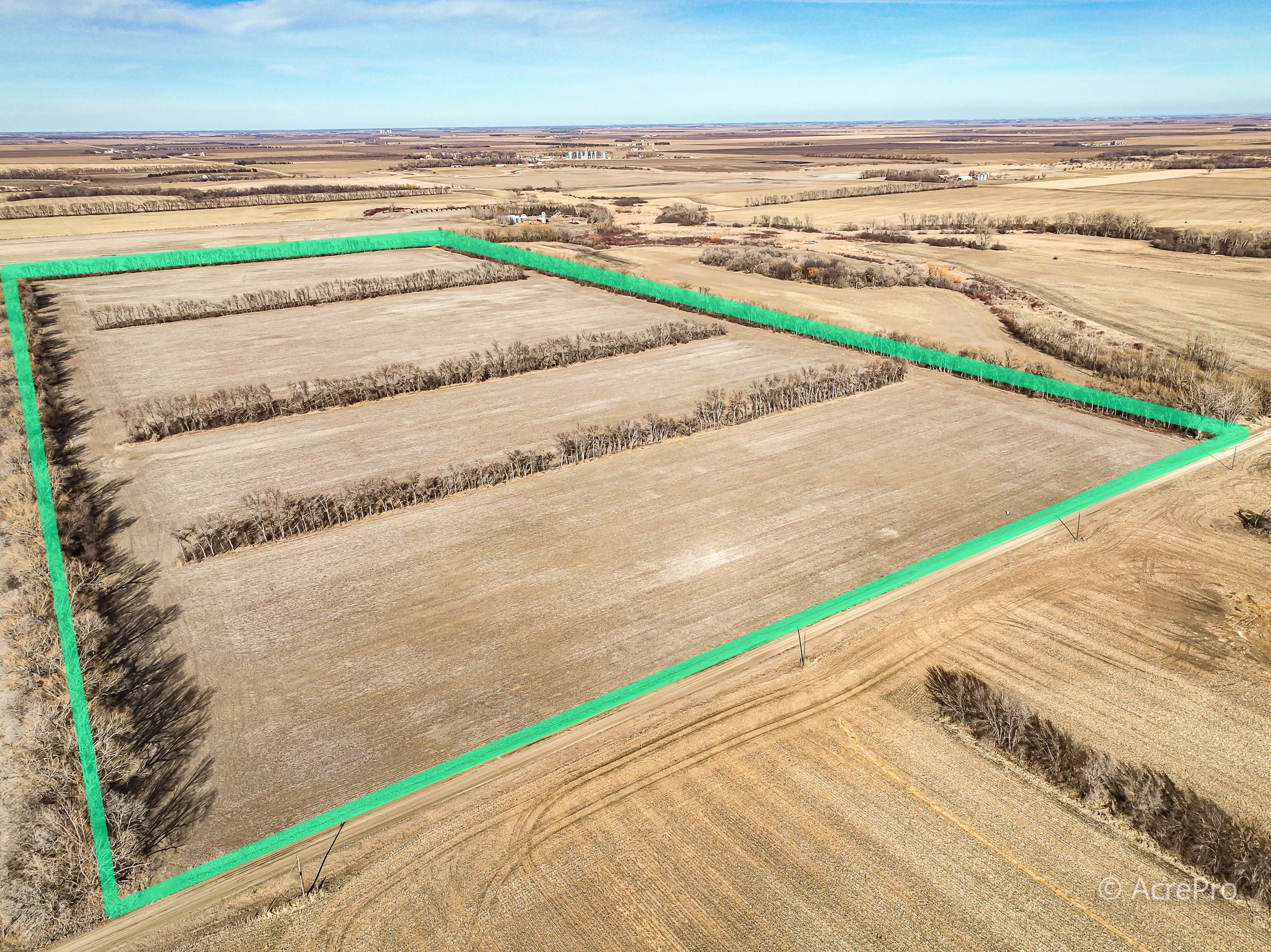 16250 88th St SE, Hankinson, ND 58041 | LandWatch