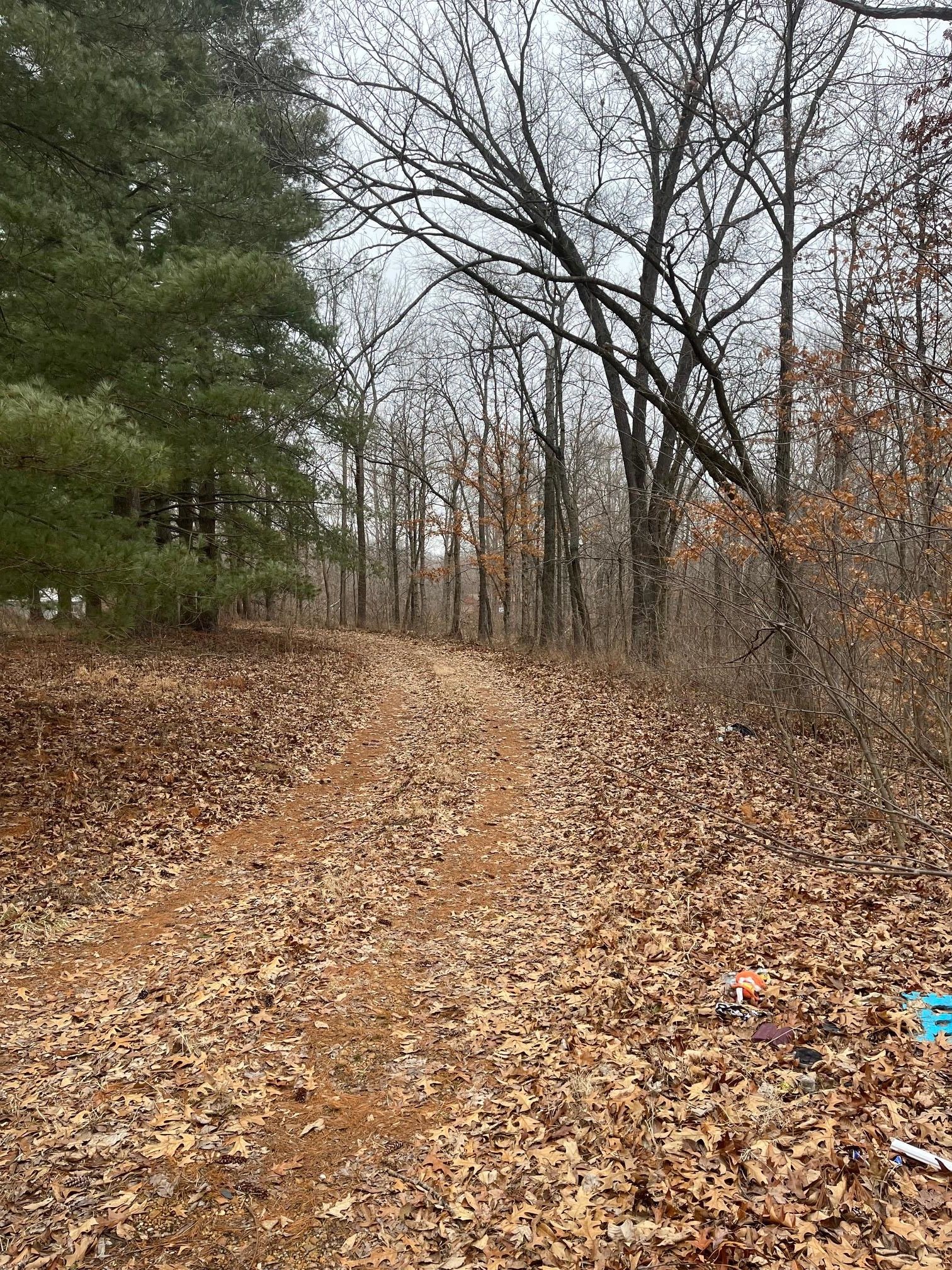 3306 Phelps Road, Walnut Hill, IL 62893 | LandWatch