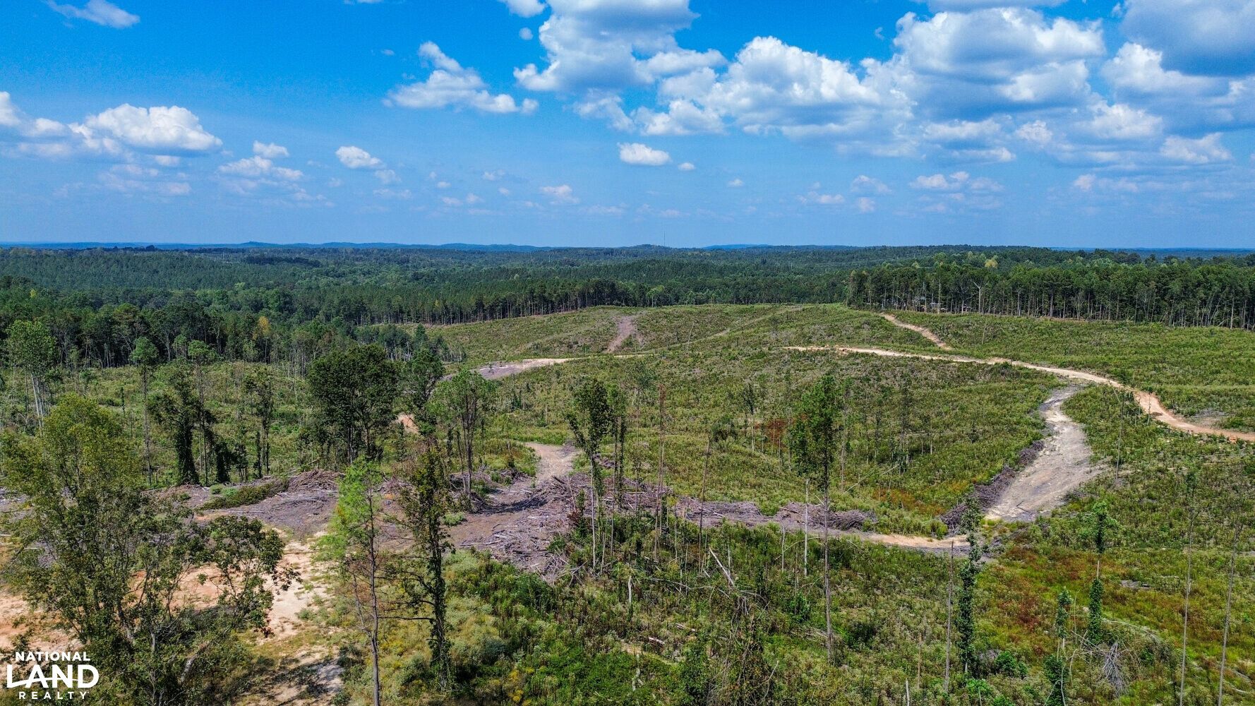 59 acres in Bankston, AL, 35542 | LandWatch