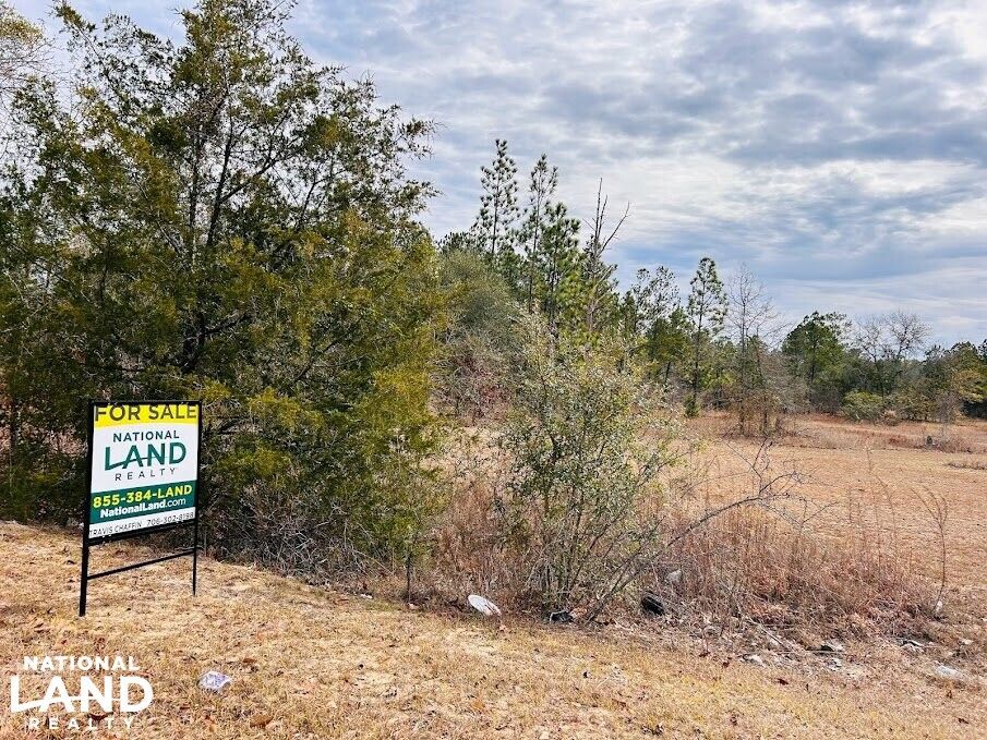Butler, Taylor County, GA for sale Property ID: 419039328 | LandWatch