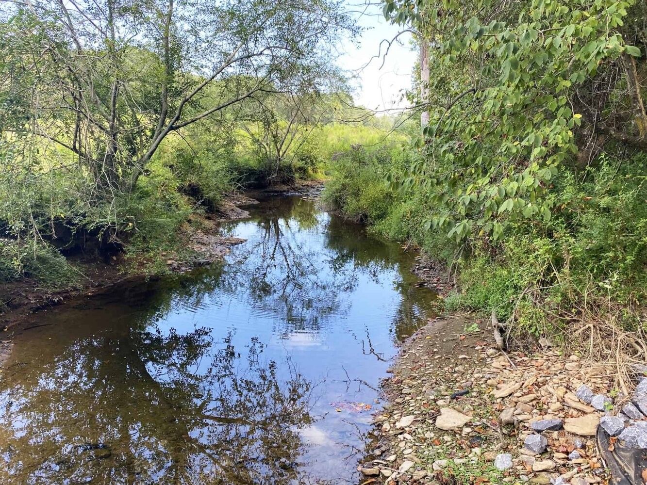 Cleveland, Blount County, AL Undeveloped Land for sale Property ID ...