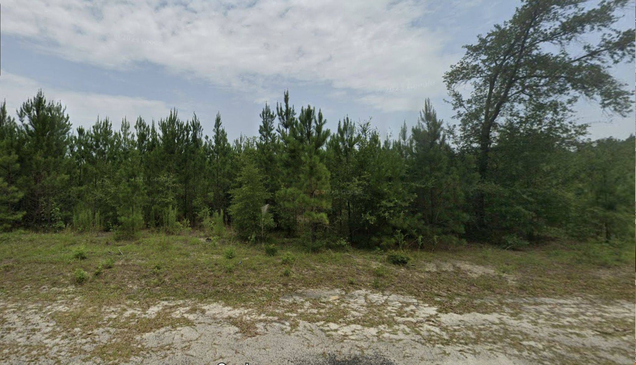 Ridgeland, Jasper County, SC Timberland Property, Undeveloped Land ...