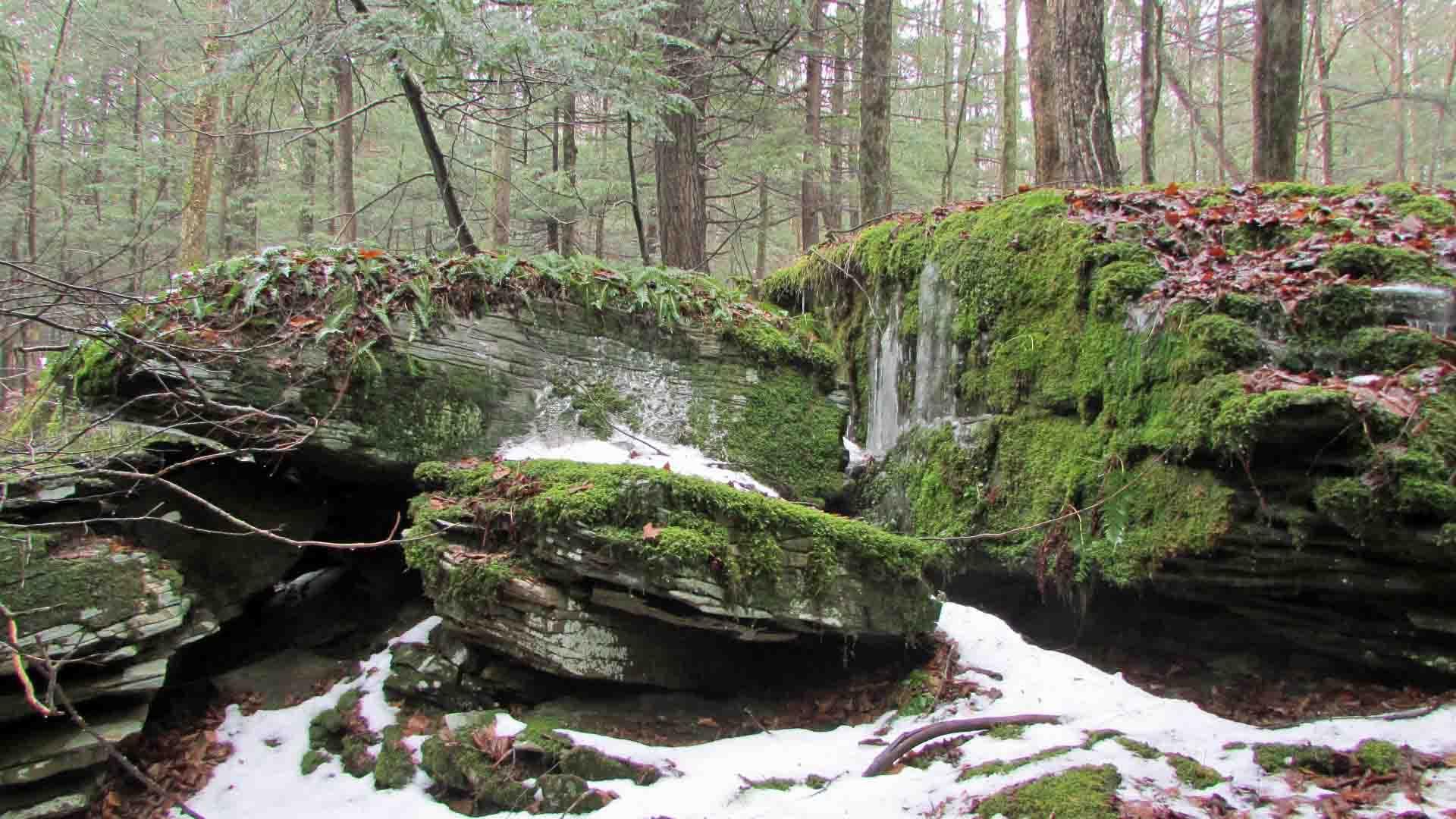 Woodchuck Run, Summit, NY 12093 | MLS: 143.-3-8 | LandWatch