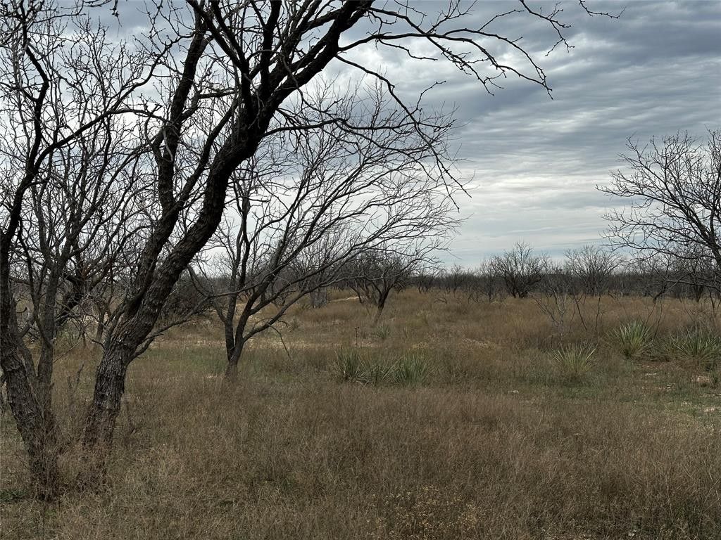 Abilene, Callahan County, TX Farms and Ranches for sale Property ID ...