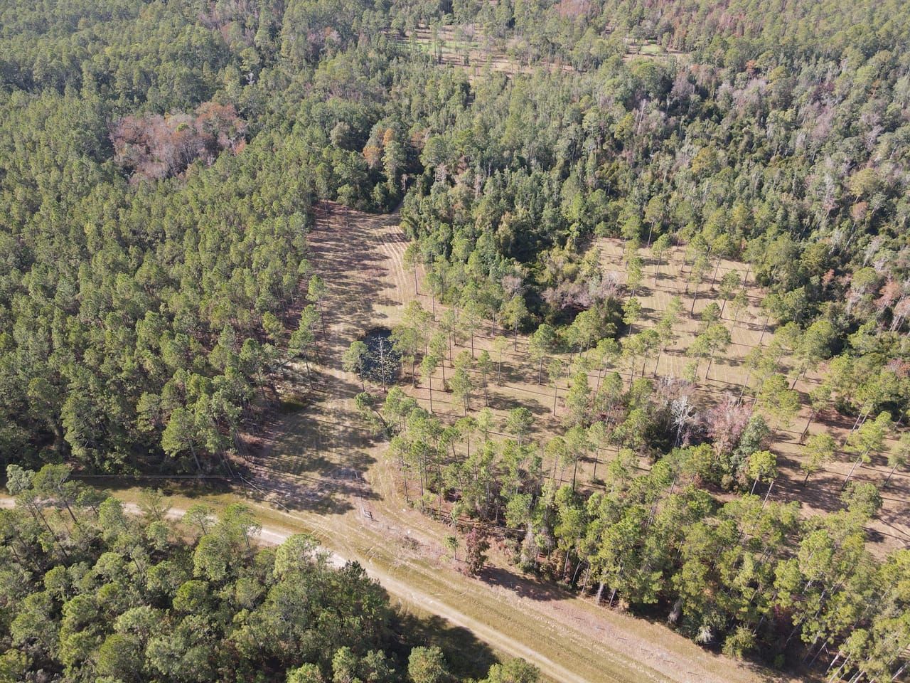 Vacant SW Pacific Drive, Greenville, FL 32331 | LandWatch