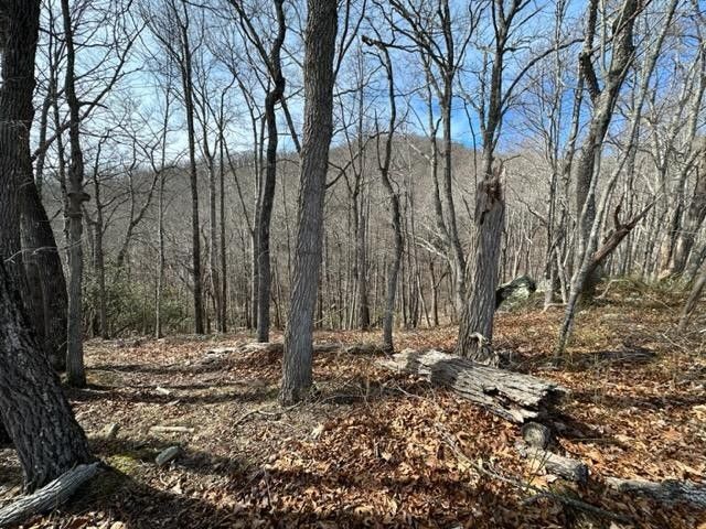 107 Point Lookout Ln., Independence, VA 24348 | MLS: 92832 | LandWatch