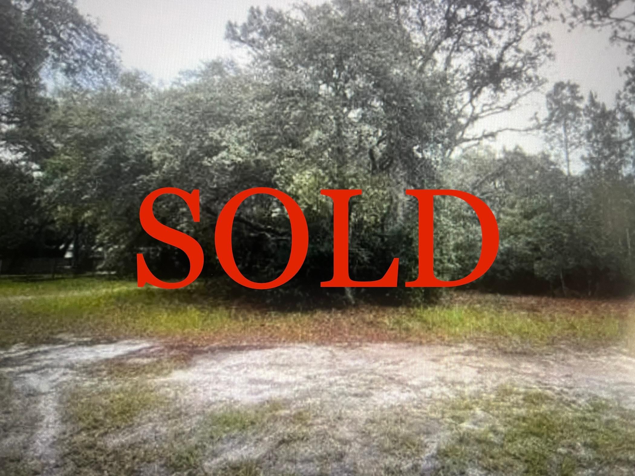 121 Hampton Cir, Georgetown, FL 32139 | MLS: Verona V Lot | LandWatch