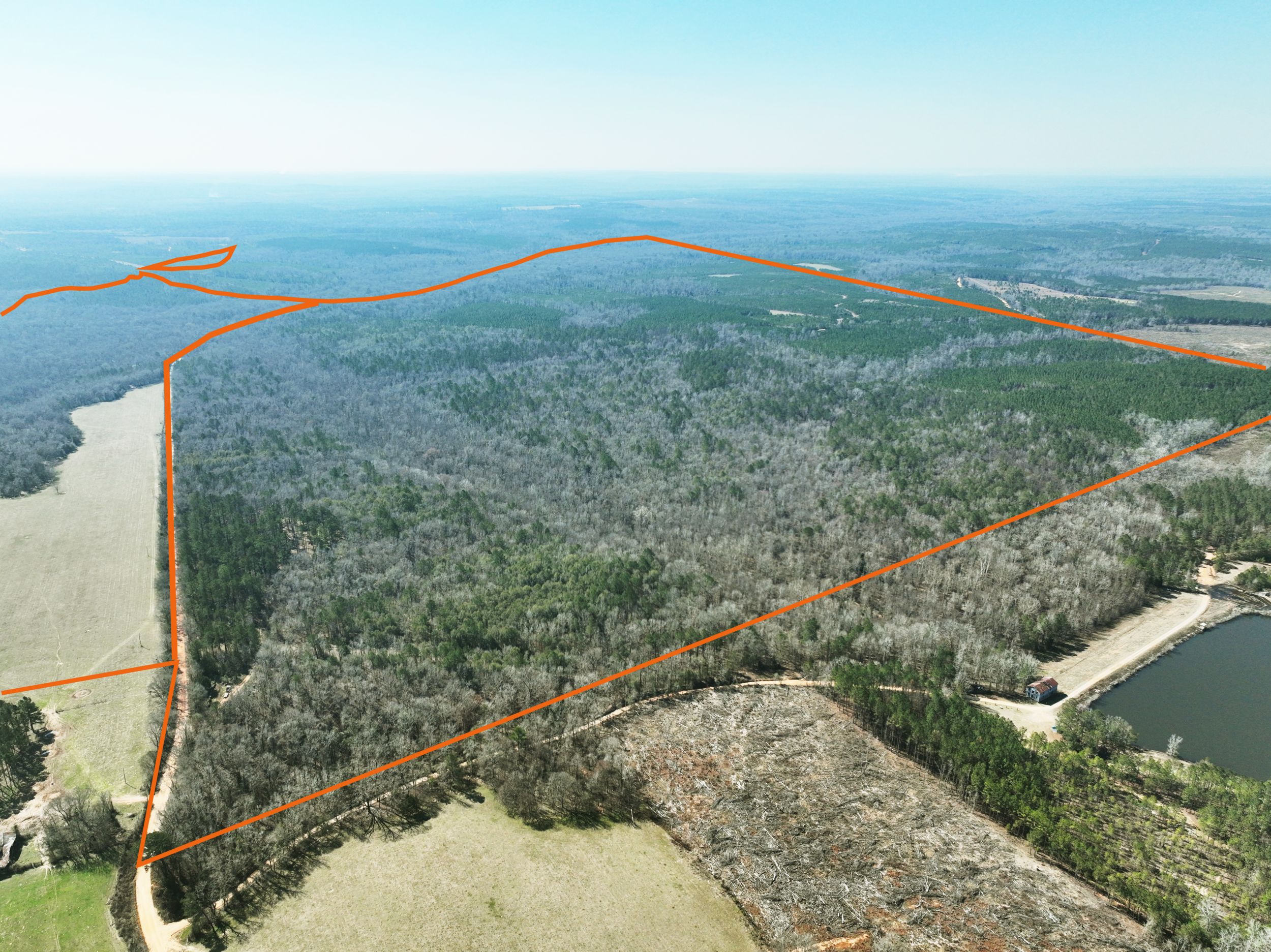 00 County Road 31, Morris, GA 39867 | LandWatch