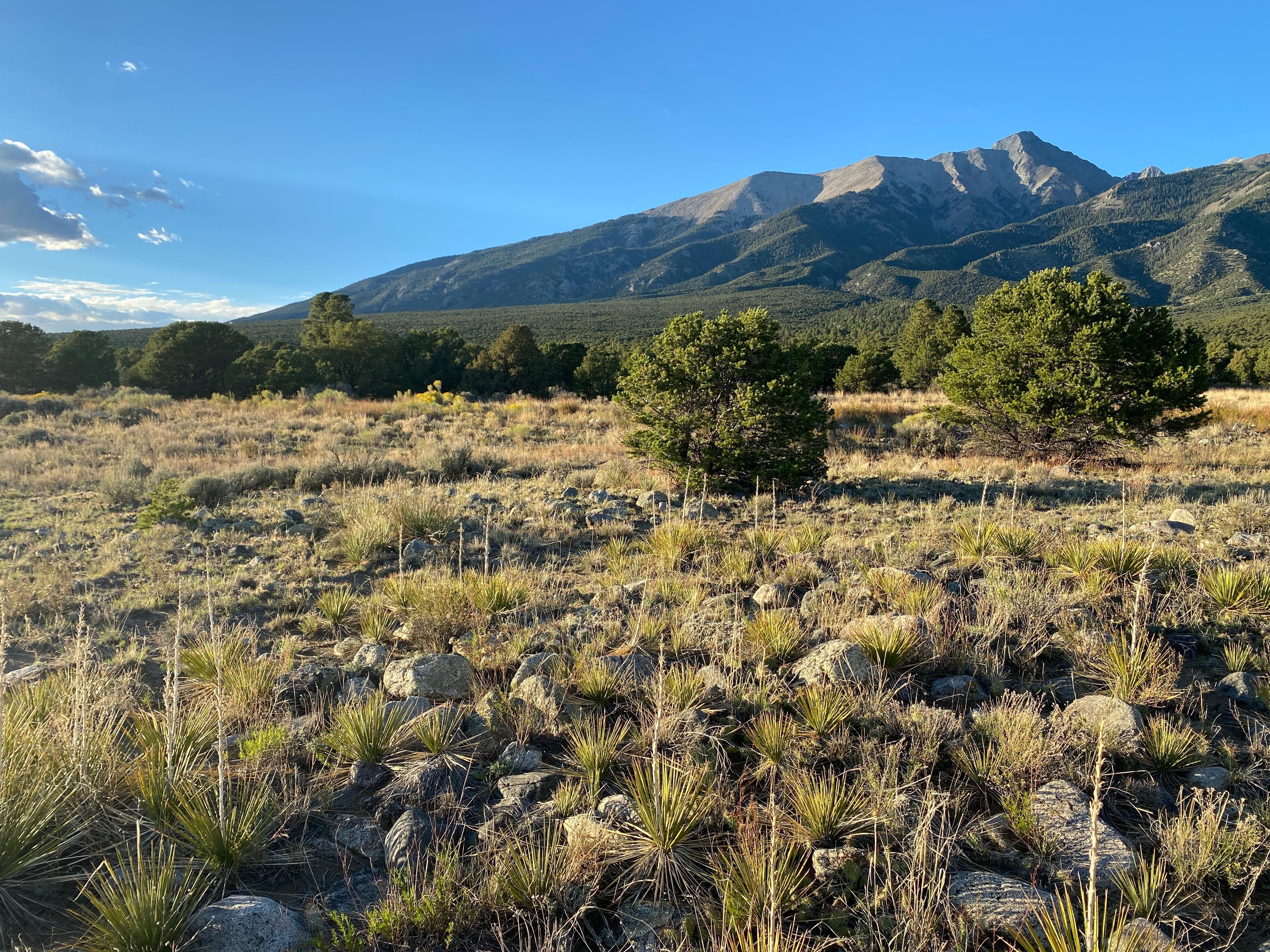 Olive Rd, Mesita, CO 81151 | LandWatch