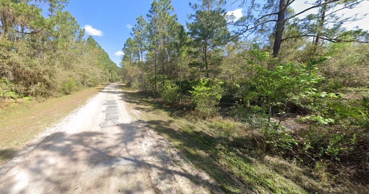 144 Caroline Blvd, Georgetown, FL 32139 | LandWatch