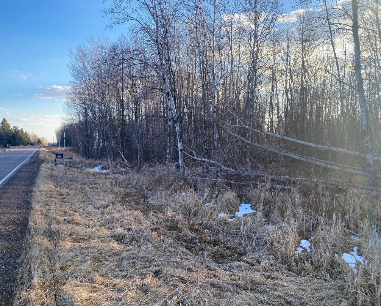 On CTH H, Sheldon, WI 54766 | MLS: 205764 | LandWatch