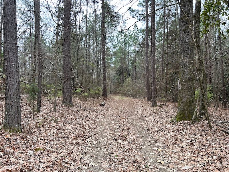 Red Lick Rd, Lot#WP001, Lorman, MS 39096 | LandWatch