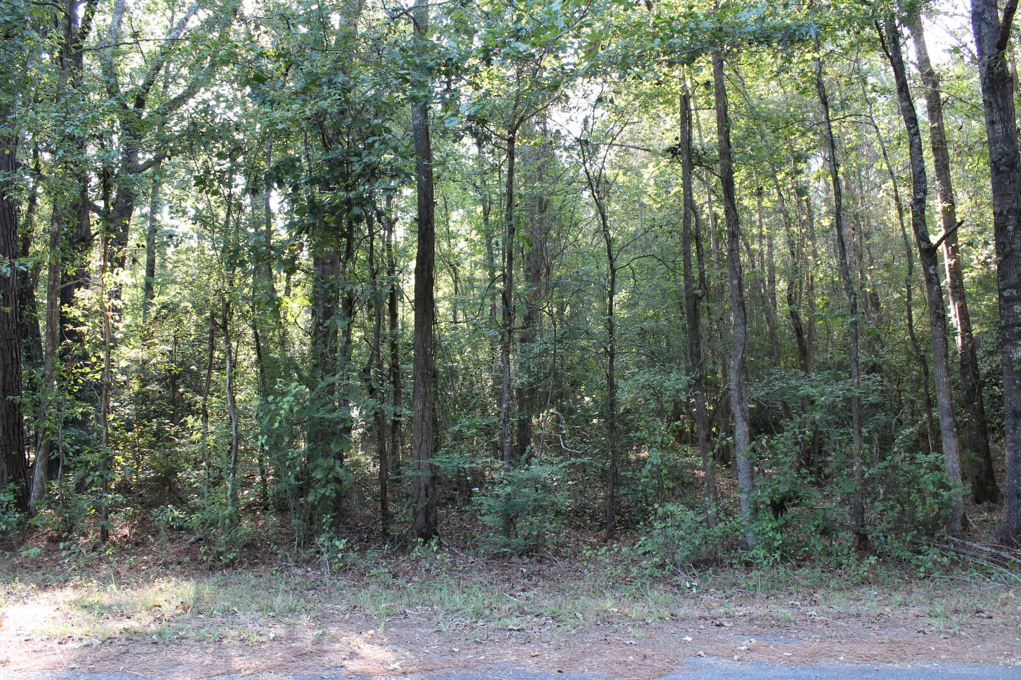 0 Peachtree Road, Dubberly, LA 71024 | MLS: 20434145 | LandWatch