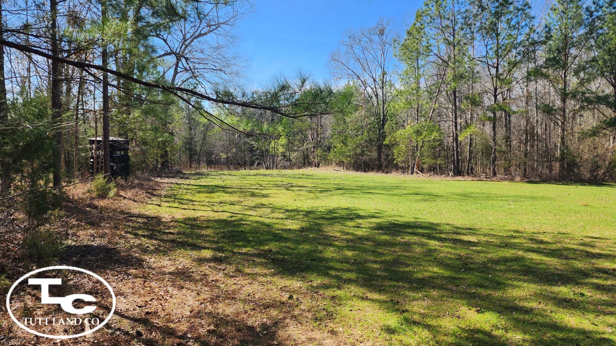 141 acres in Furman, AL, 36761 | LandWatch