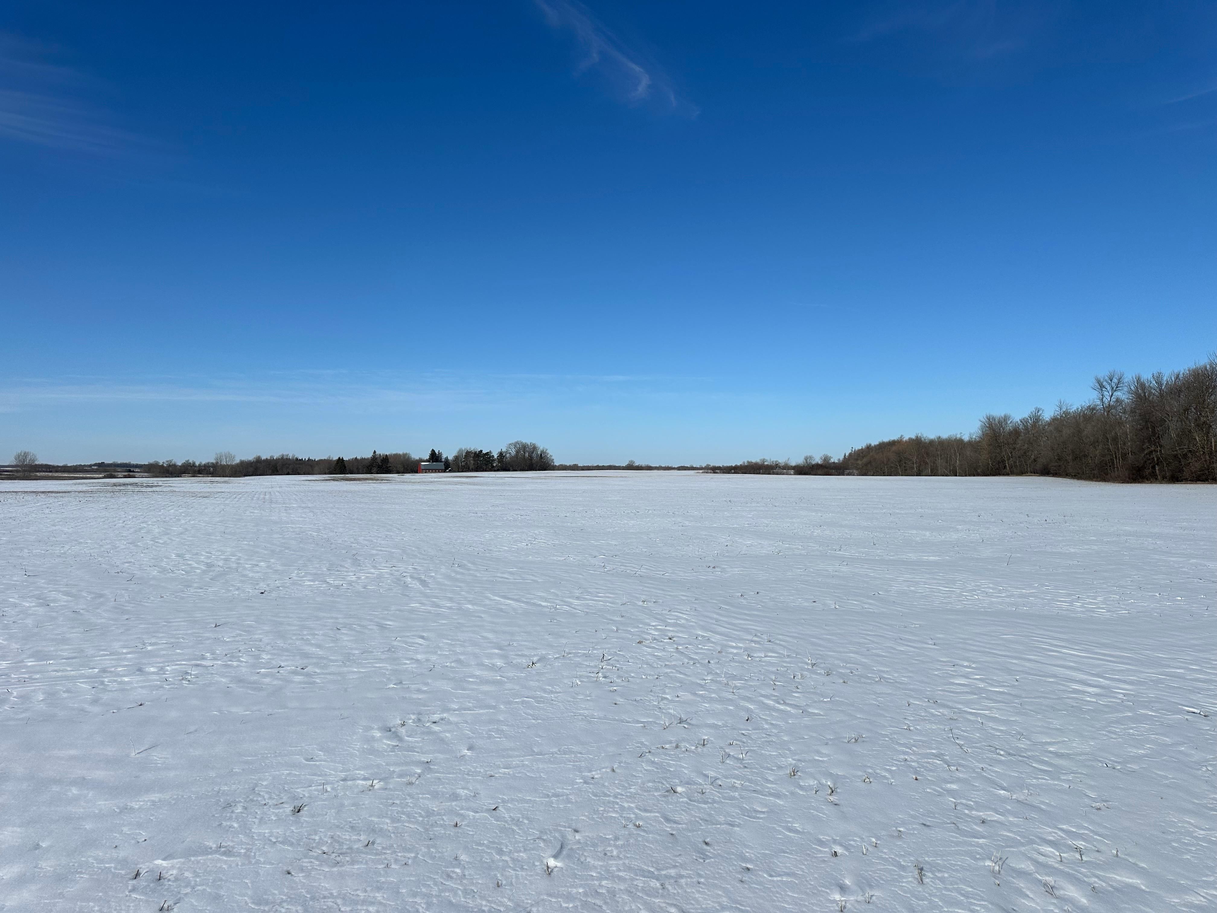 131 acres in Mcintosh, MN, 56556 | LandWatch