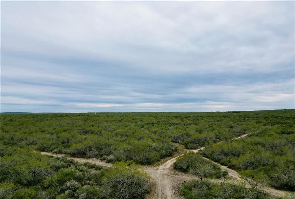 Freer, Duval County, TX Farms and Ranches for sale Property ID ...