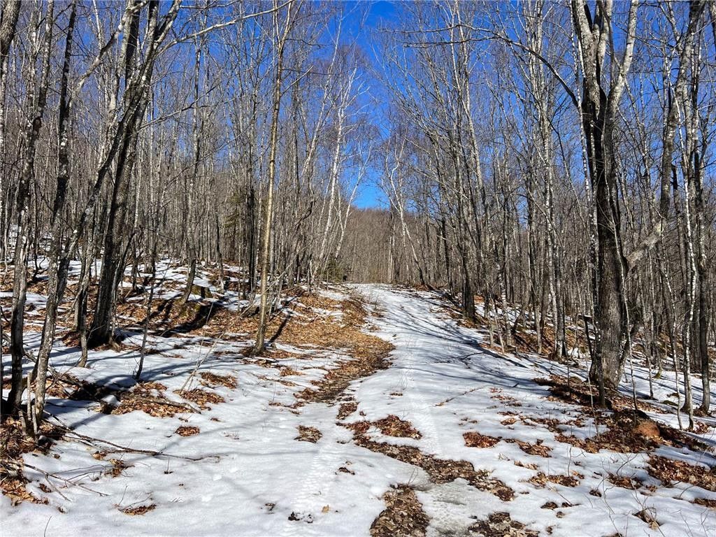 Xxx Two Island River Road, Schroeder, MN 55613 | MLS: 6501265 | LandWatch