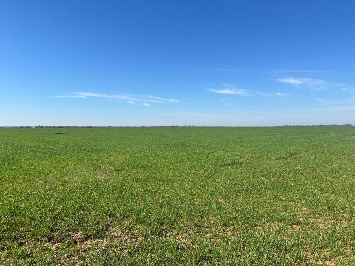 160 acres in Grandfield, OK, 73546 | MLS: 11258152 | LandWatch