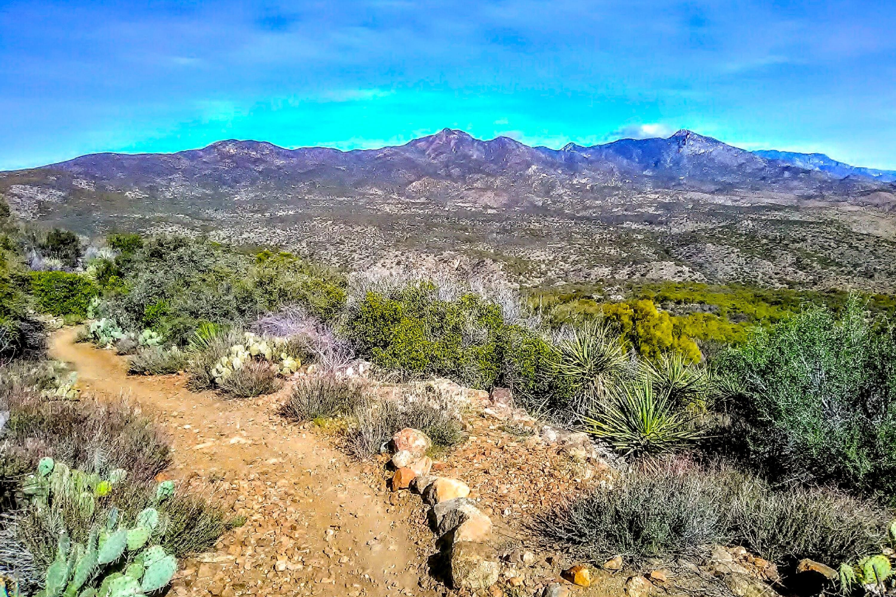 Gstaad Dr, Mountain Center, CA 92561 | LandWatch