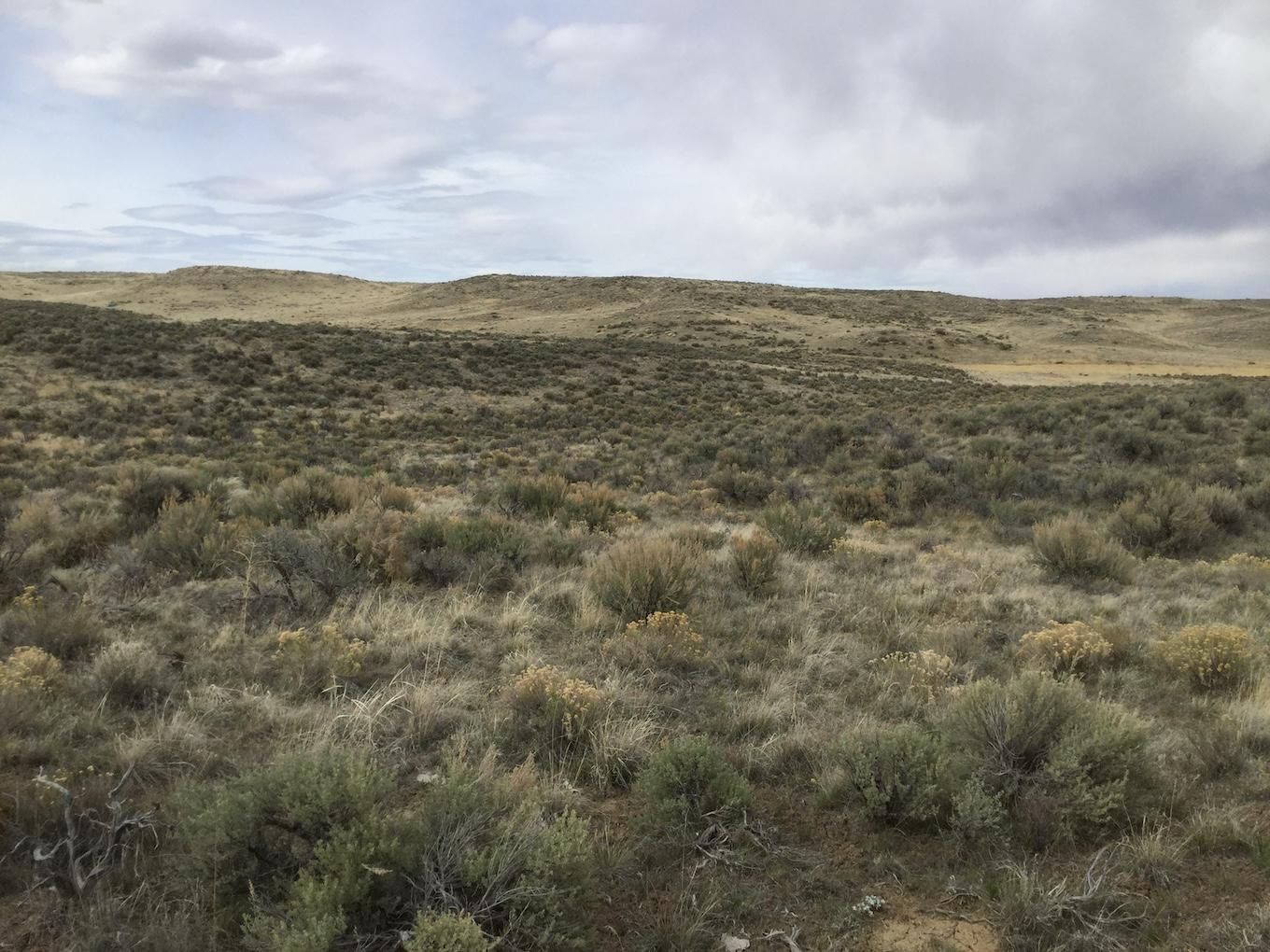 Sec 7 Twp 37 N Rge 59 E Mdb&M, Deeth, NV 89823 | LandWatch