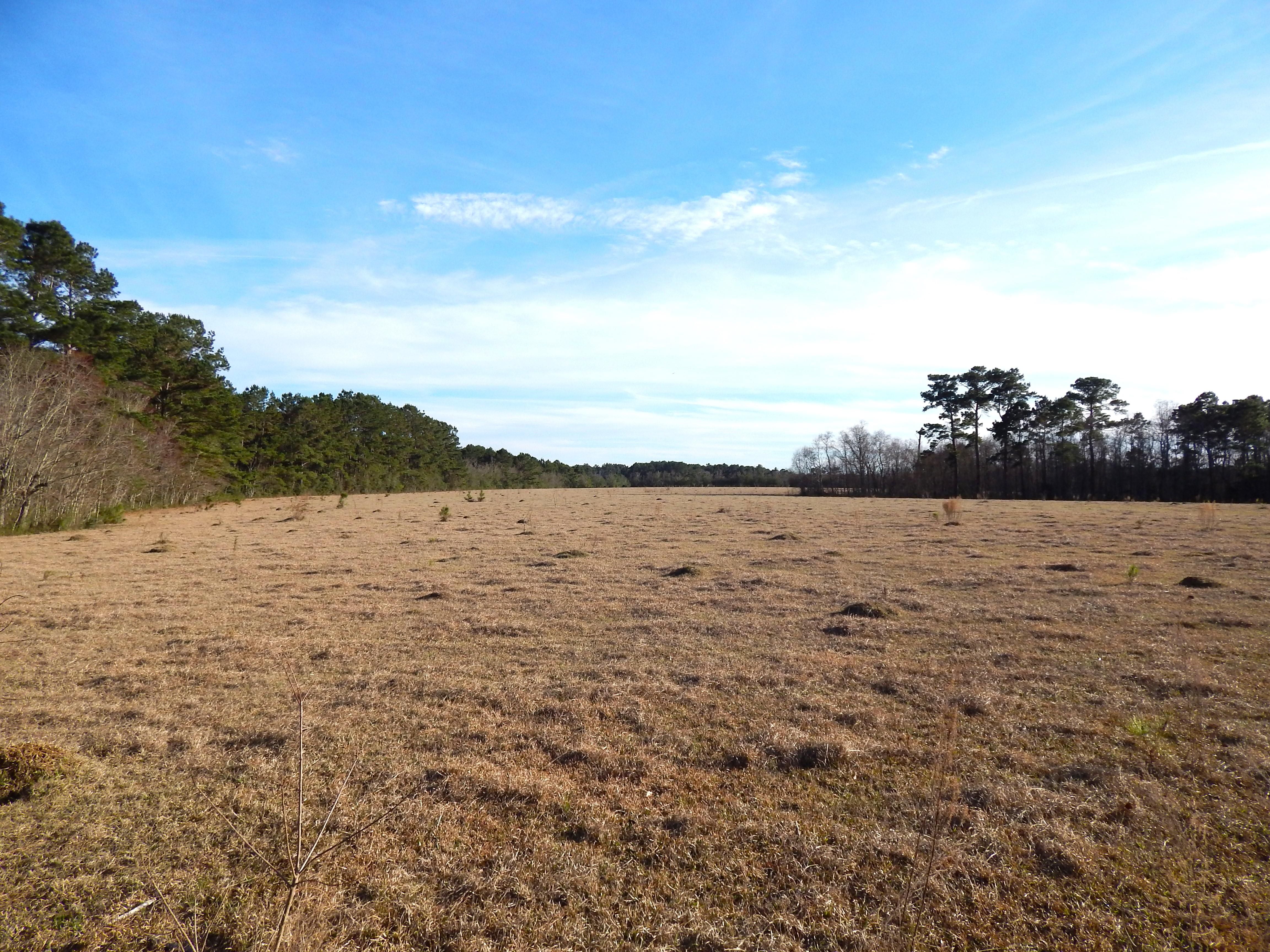 Oalmann Rd E, Bush, LA 70431 | LandWatch